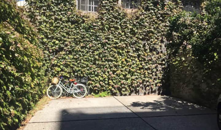 Departamento Tranquilo En El Corazón De Palermo - Buenos Aires