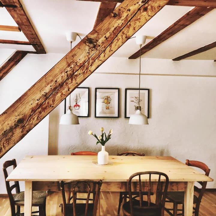 Apartment Domo Kirchzarten - Simonswald