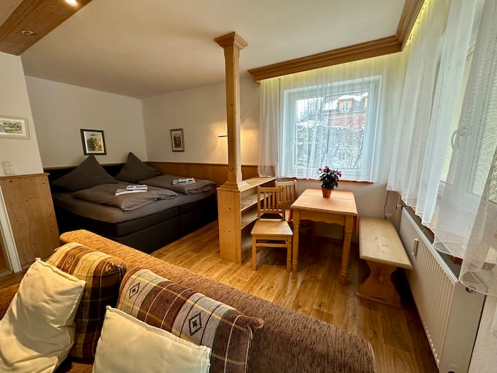 Geräumige 1 Zimmer-stadt-wohnung Balkon Bergblick - Bischofswiesen