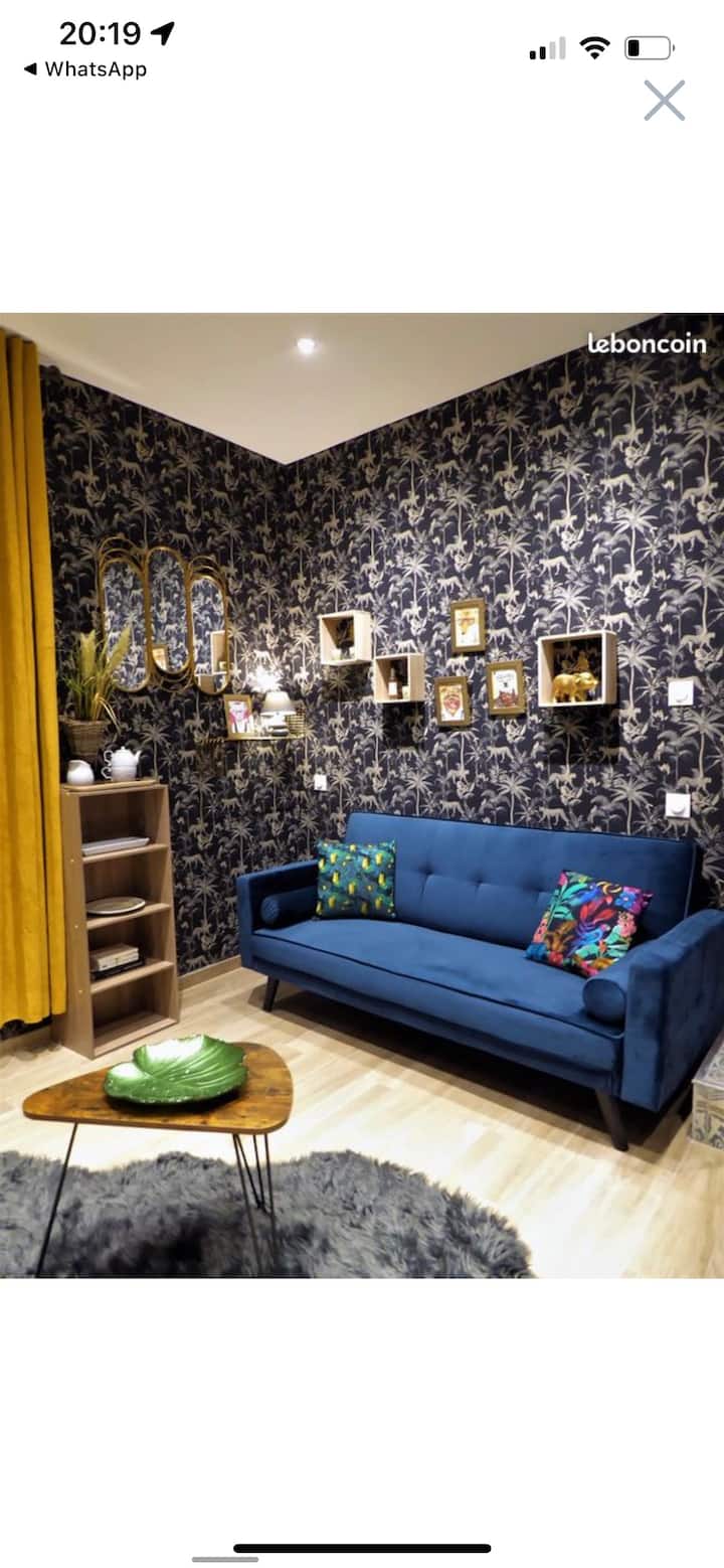 Studio Avec Courette - Montargis