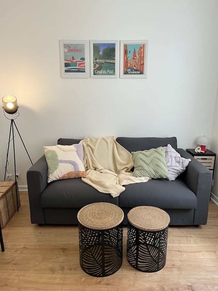 Charmant Studio En Centre-ville - Toulouse