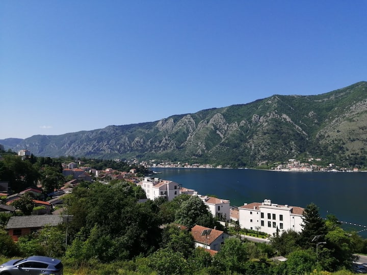 Kotor Belvedere Bellevue - Kotor