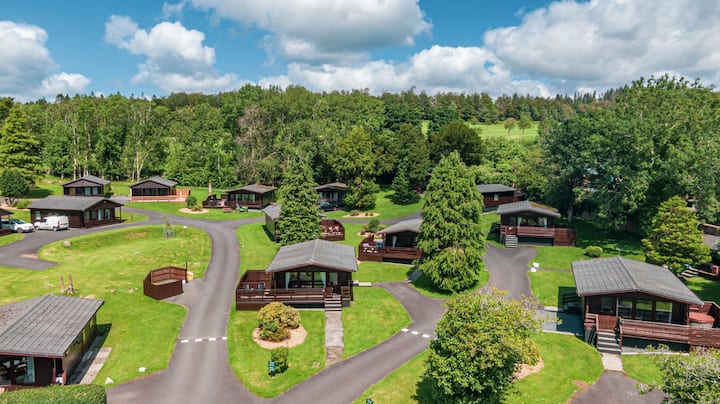 Birch Lodge 19 With Hot Tub - Newton Stewart