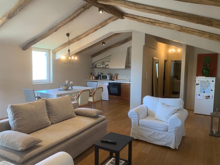 Dachgeschoss-apartment "Andemi" In Istrien - Novigrad