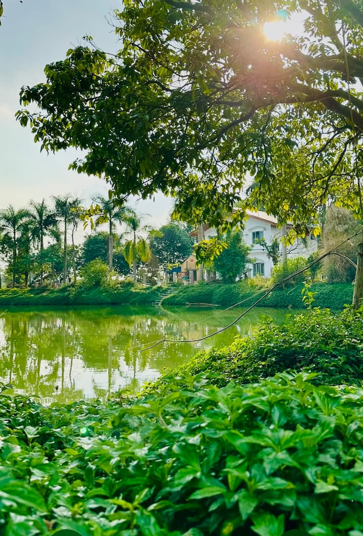 Memory House - Vĩnh Yên