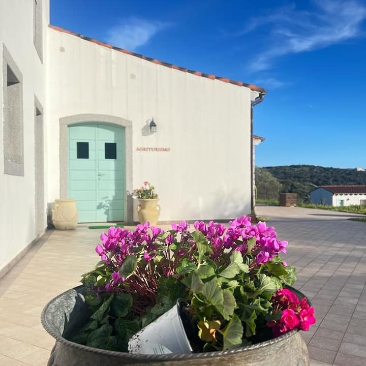 Agriturismo Con Camere - Arzachena