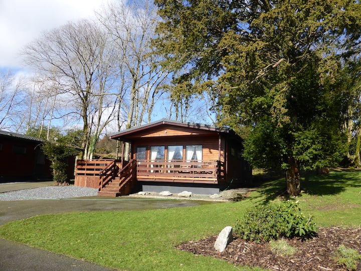 Birch Lodge 22 With Hot Tub - Newton Stewart