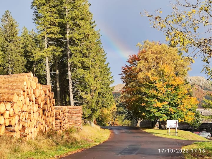 Appart Lumineux En Pleine Nature - Murat-le-Quaire