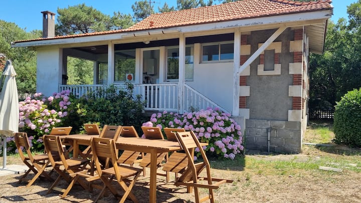 Villa 10 Personnes Centre Ferret - Cap Ferret