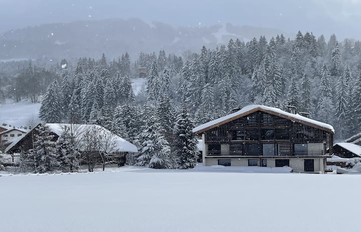 Appartement 4 Chambres-10 Personnes, Rez-de-jardin - Megève