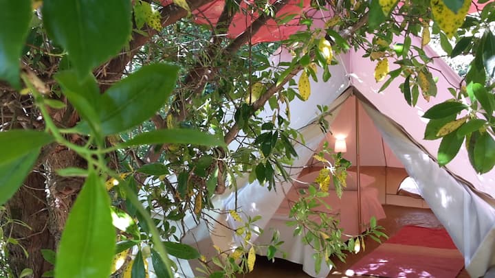 Iris Tent- Glamping Vista Mare - Castagneto Carducci