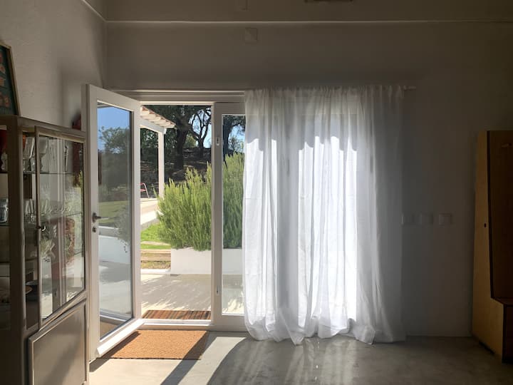 Property Between Melides And Aberta Nova Beach - Melides