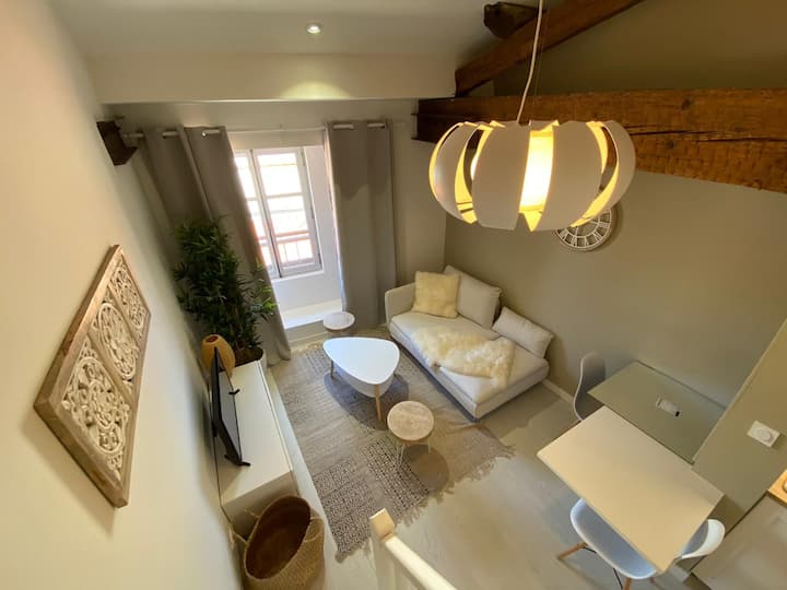 Magnifique Duplex Capitole - Toulouse