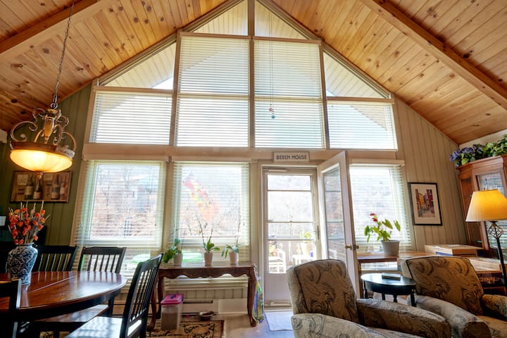 Spacious Slope Side, Ski-in Ski-out Retreat - Beech Mountain, NC