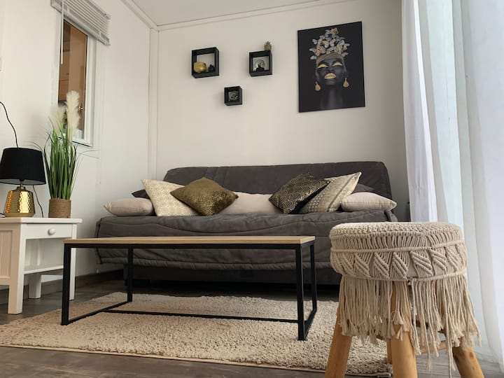 Studio Optimisé Pour 4 - Saint-Cyprien
