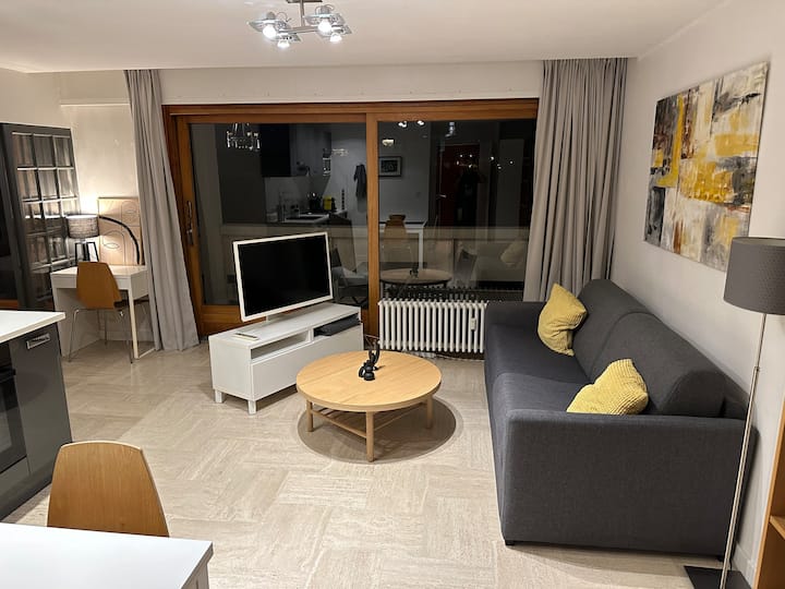 Coeur De Ville, Vue Du Chateau - Annecy