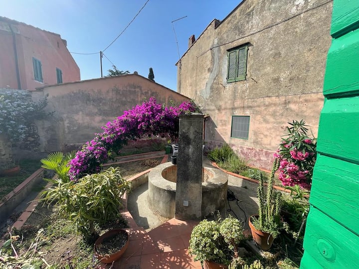 Beautiful Antique House (Private Room), 2 Gardens - Marina di Campo