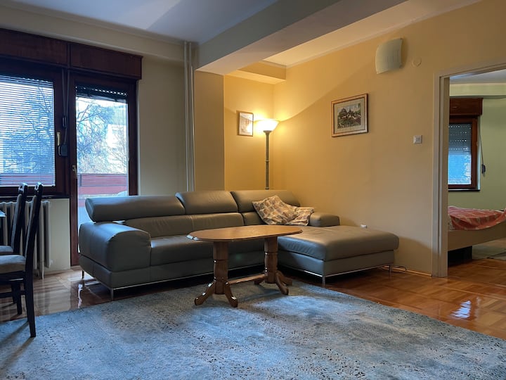 Comfy And Spacious 2-bedroom In The City Center - Novi Sad