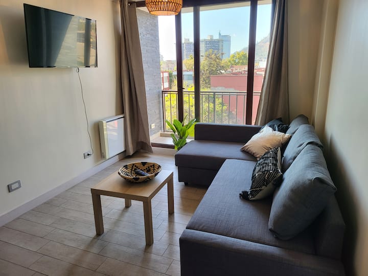 Impecable Depto En Barrio Italia - Providencia, Chile