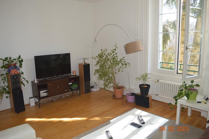 Agréable Et Charmant Appartement - Lausanne