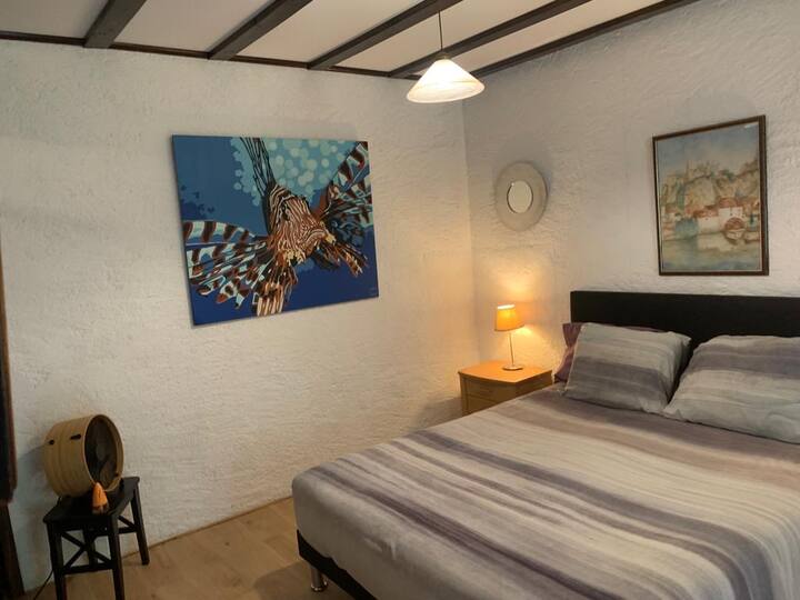 Divertimento,
Begane Grond. 
Caribische Kamer. - Le Dorat
