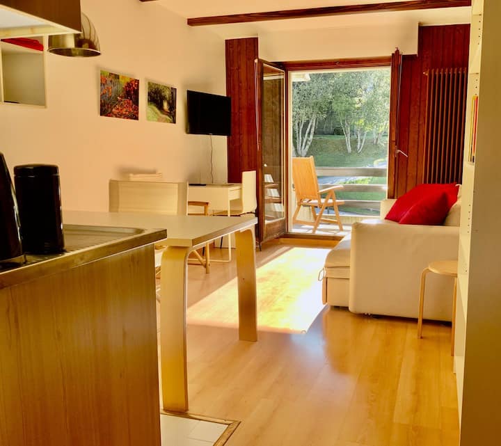 Joli Studio Aux Alpes, à Torgon - Aigle