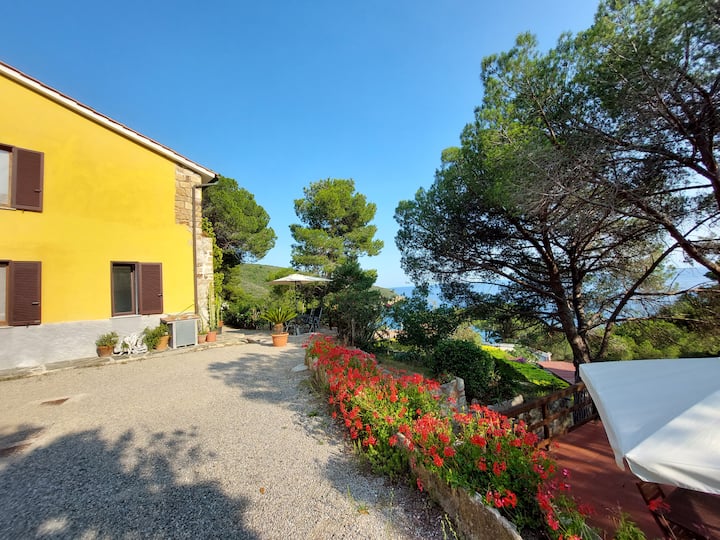 Appartamento In Villa A Fonza - Marina di Campo