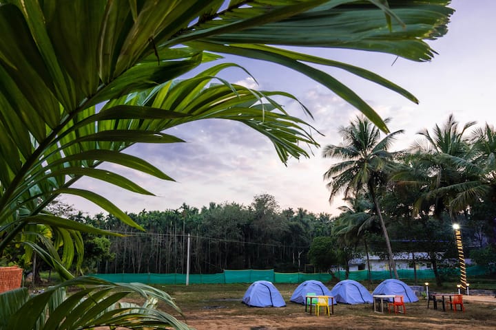 Fortune River Resort - Tent - Dandeli