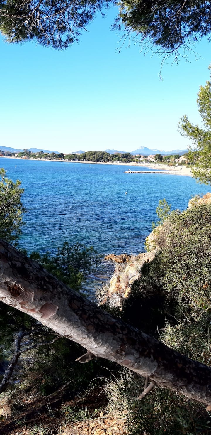 Joli Appartement Proche Plage - Hyères