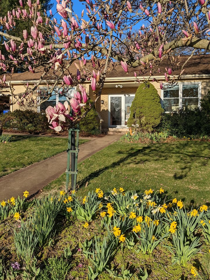 Cozy Private Half House, Walk To Campus - Virginia Tech, Blacksburg