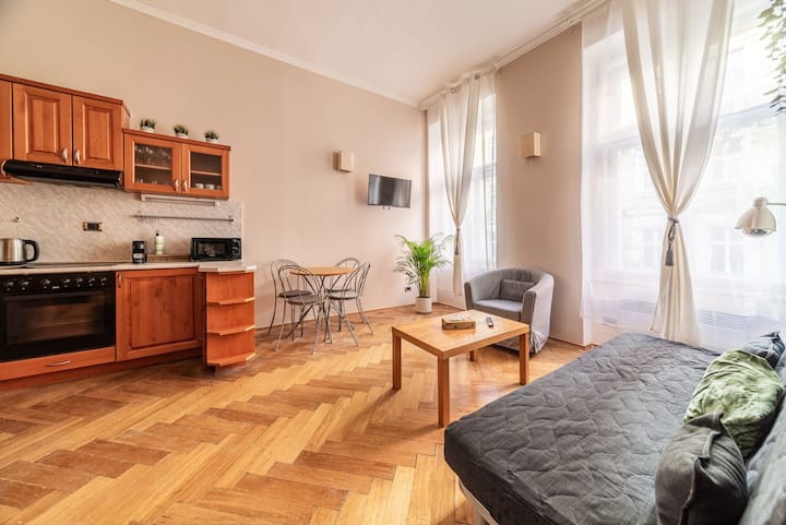 Apartment In The Historical Part Of Prague - Praga