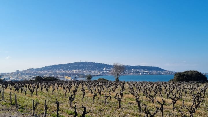 Charmante Maison Au Cœur D'un Domaine Viticole - Bouzigues
