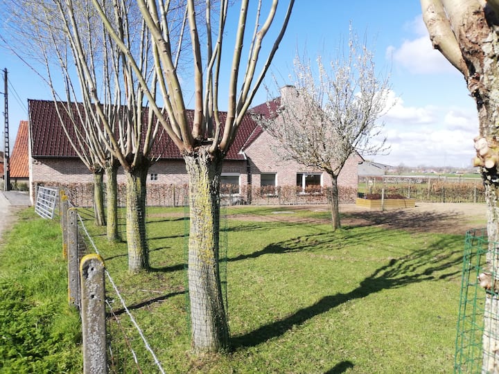 Vakantiewoning Vossenhof - Waregem