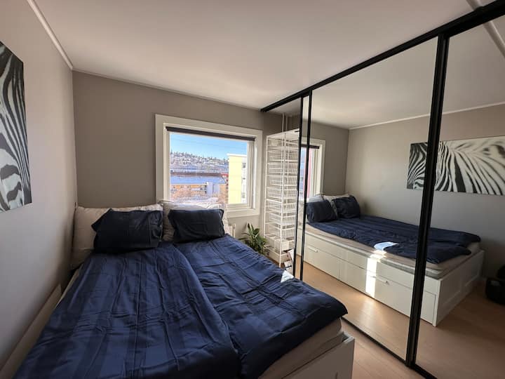 Koselig Og  Minimalistisk Rom I Leilighet - Oslo