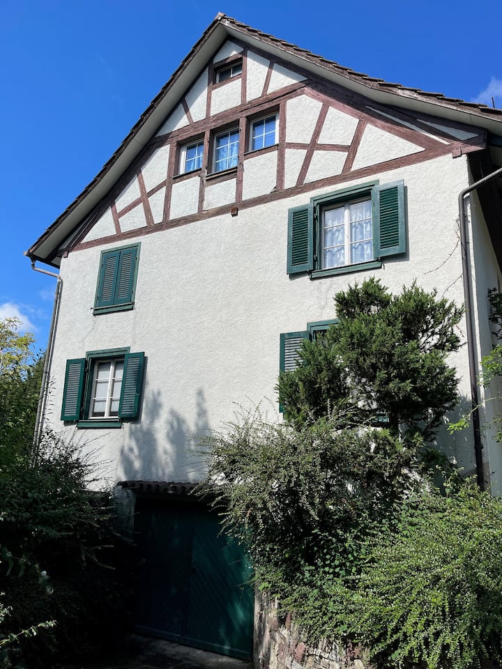 Wohnen Im Grünen In Zürich - Zúrich, Suiza