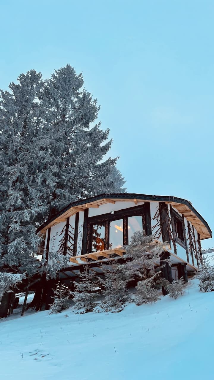 Amazing Treehouse Top Amenities! - Dâmbovicioara
