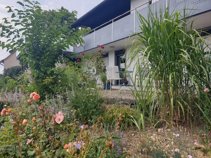 Ferienwohnung Am Sonnenhang - Frickenhausen am Main