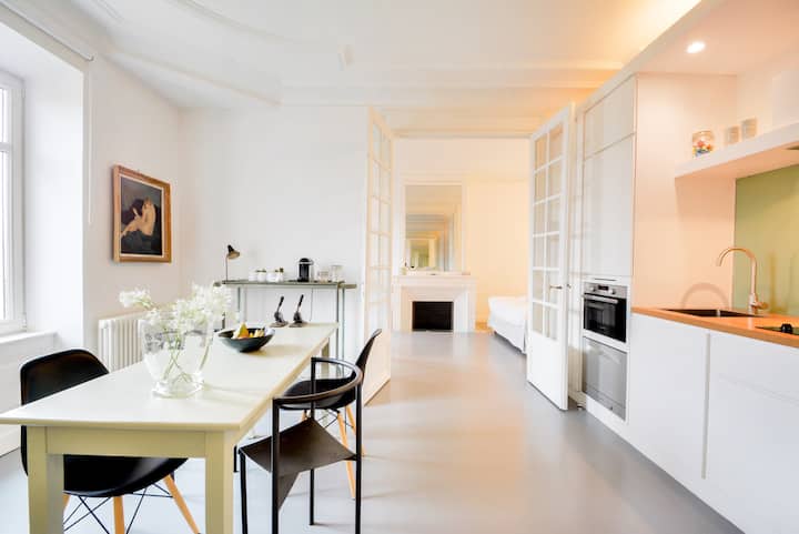 L'hôtel Particulier - L'appartement De Vincent - Nancy