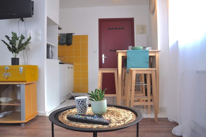 Studio Jungle Tout éQuipé Tram - Gare - Centre - 뮐루즈