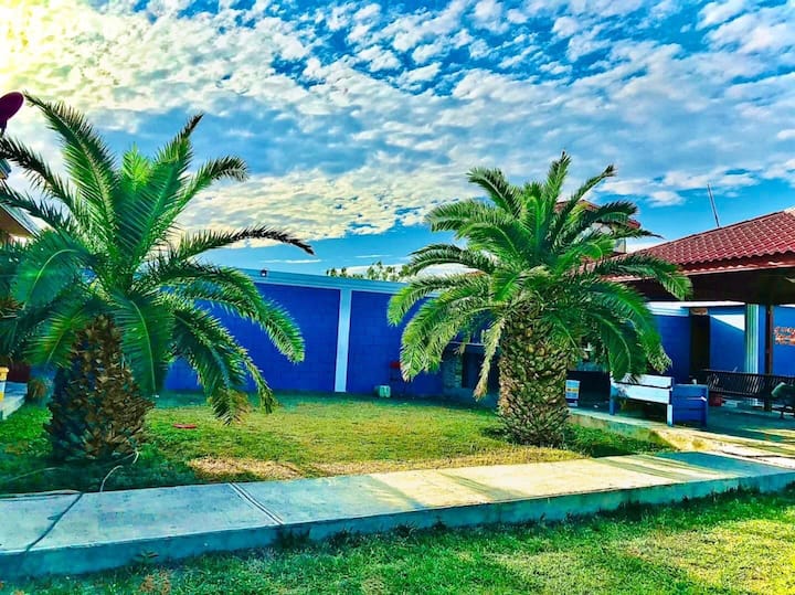 Disponible Este 28 - Nuevo Leon