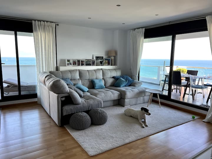 Spacious Modern Pent House - Casares