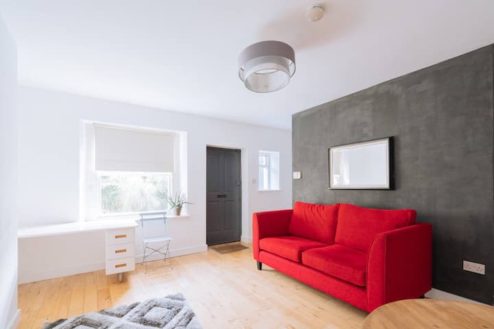 Cosy Flat In Portobello - Dun Laoghaire