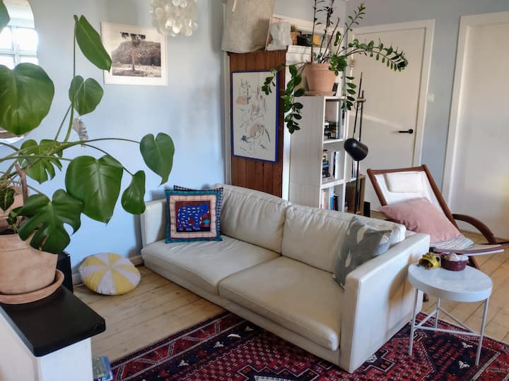 Copenhagen Loft - Copenhaguen