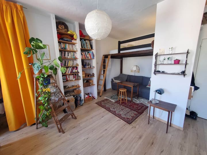 Charmant Et Cosy Studio Dans Le Centre - Parc et palais Longchamp - Marseille