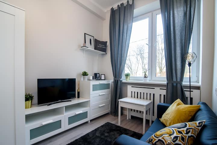Cozy Loft / Near Gates Of Dawn / Free Netflix - Vilnius