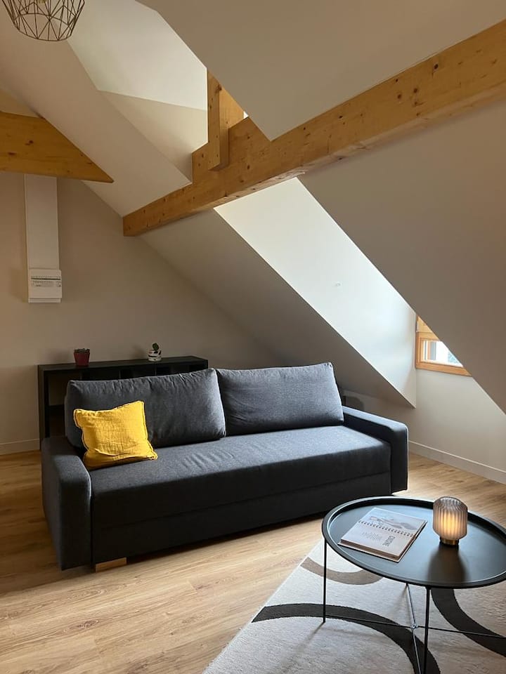 Appartement T2 Neuf Vue Lac 4/5 Pers - Rumilly