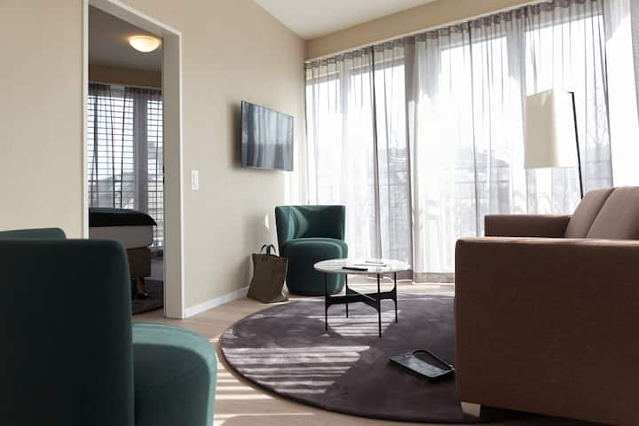 1-bedroom Apartment, Franklinstrasse - Zürich
