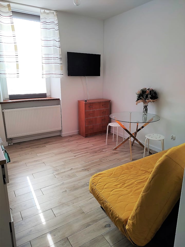 01 Katowice Centrum - 4 Osoby 2 Pokoje Tv Wi-fi - Katowice