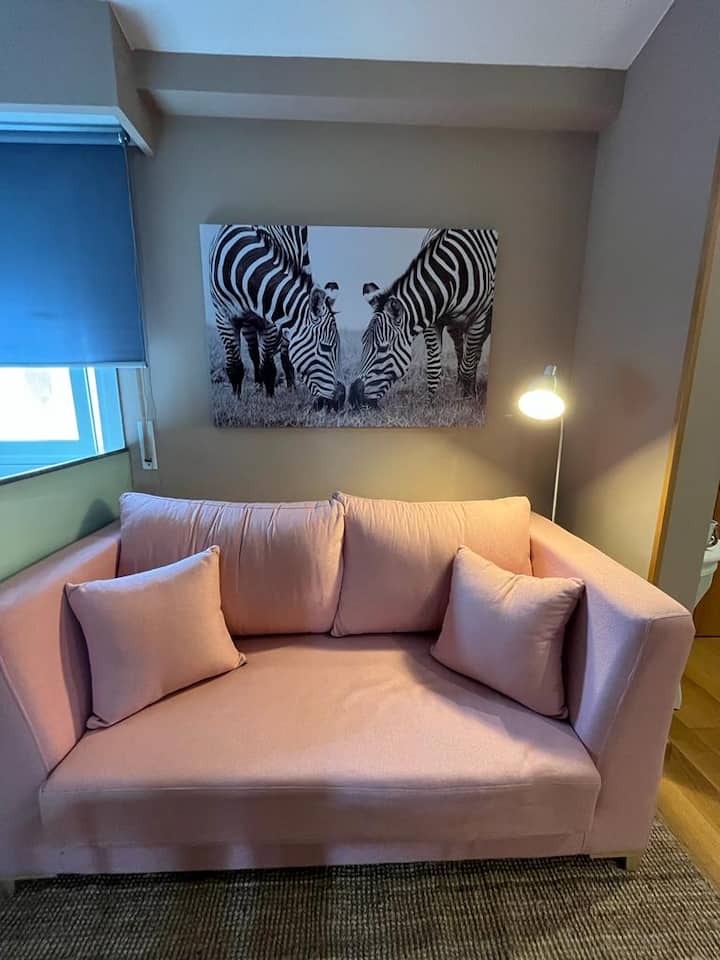 Paz Termal Apartmento Ourense Centro - Orense