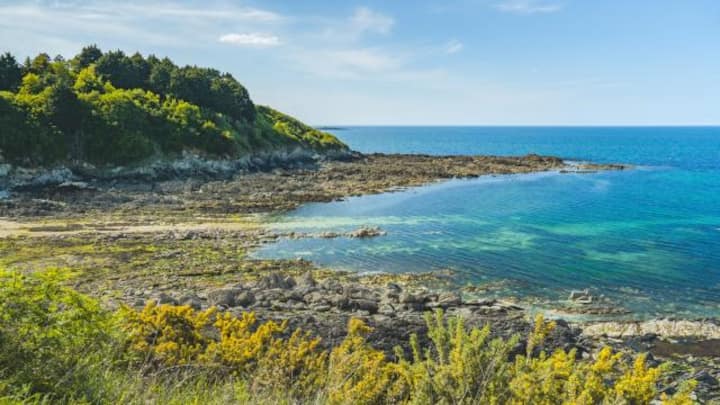 Maison 4prs Sur La Corniche - Plestin-les-Grèves